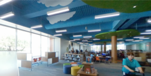 NETTLES PROJECT OF THE WEEK: ADVANCED LEARNING LIBRARY - Nettles ...